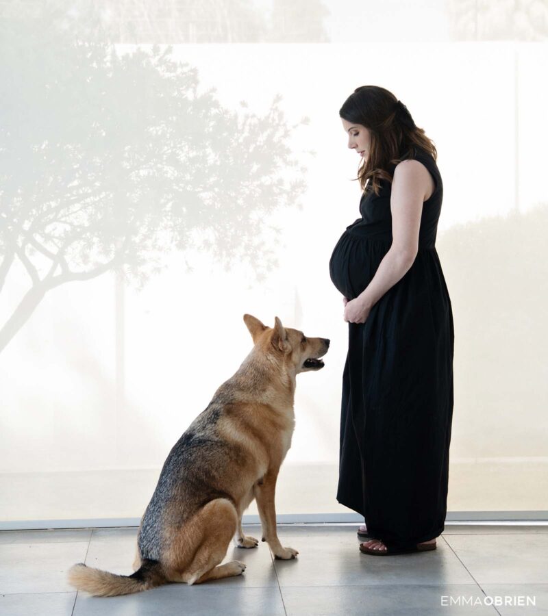 Maternity Photoshoot with Dogs and Cats - Dog Photographer Gauteng